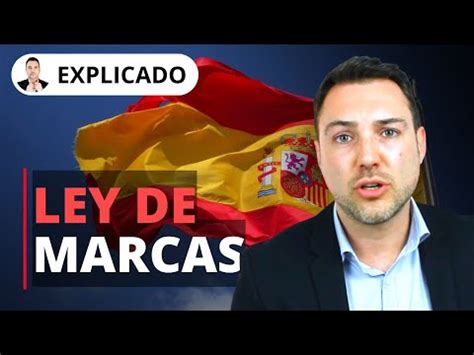 Guía completa sobre el funcionamiento de la ley de marcas Triunfa