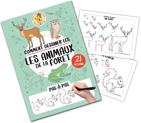 Cahier Animaux De La For T Dessin Pour Enfant