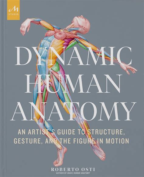 Dynamic Human Anatomy An Artist S Guide To Structure Gesture And The
