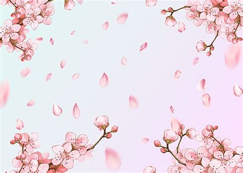 Falling Sakura Hd Transparent Spring Sakura Falling Fashion Border