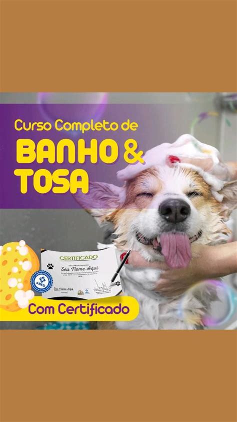 Banho E Tosa Aprenda Tudo Sobre Banho E Tosa Aulas Passo A Passo