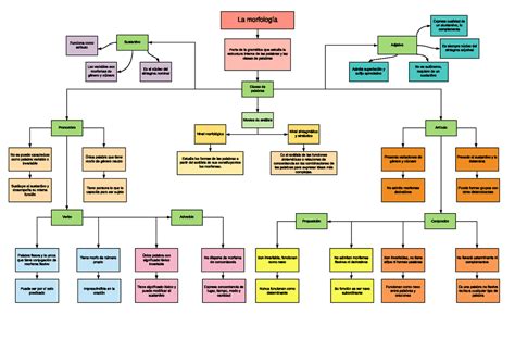 Mapa Conceptual De La Morfologia Y Sus Clases Brainlylat Images Porn