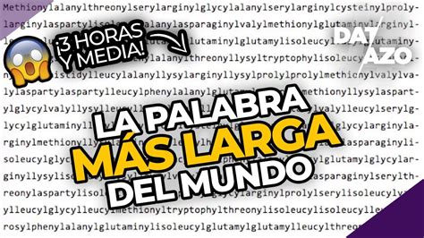 La Palabra M S Larga Del Mundo Y La M S Larga En Espa Ol Datazo