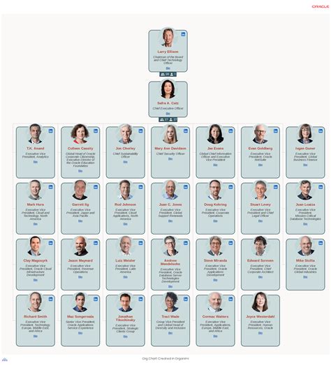 Oracle S Organizational Structure Interactive Chart Organimi NBKomputer