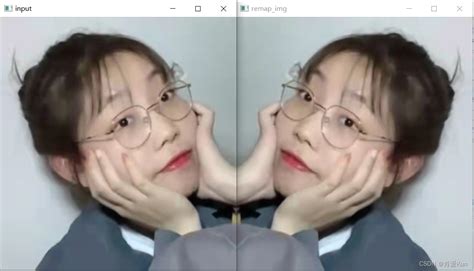 opencv图像处理学习十九，像素重映射cv remap csdn博客