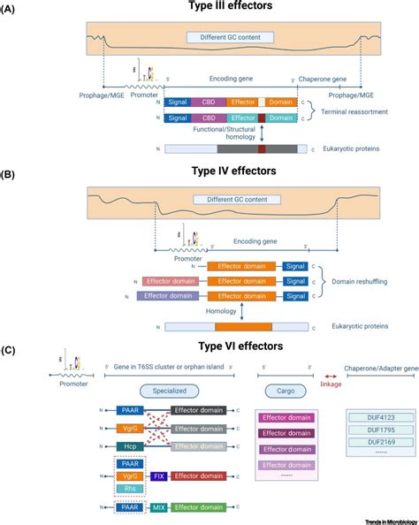 Features And Algorithms Facilitating Investigation Of Secreted
