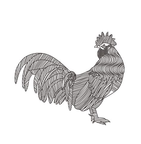 الديك الديك الرسم الخط خط الرسم خط دجاج PNG والمتجهات للتحميل مجانا