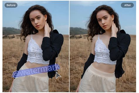 Watermark Remover Remove Watermark From Images Online