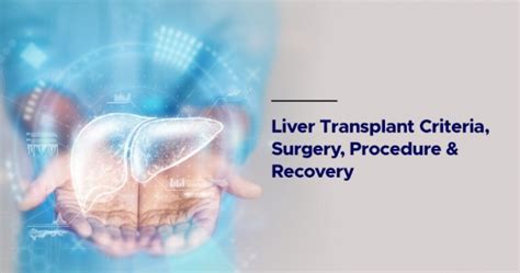 Liver Transplant Criteria Surgery Procedure Recovery