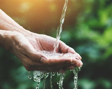 Cuidar El Agua