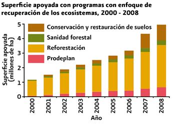Informe En Resumen 2009