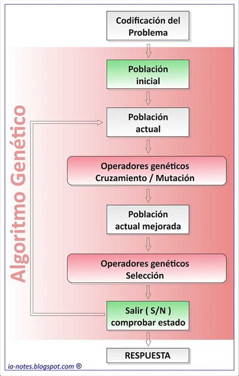 algoritmo genético parte 3 operadores genéticos software para un mundo mejor