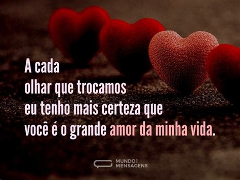 Vida Amor