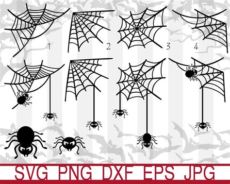 Spiderweb Svg Spider Svg Halloween Spider Svg Spider Web Svg Corner