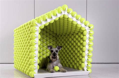 Casas de perros recicladas económicas y sostenibles Reciclaje Contemar