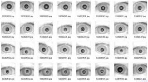 iris recognition system download scientific diagram