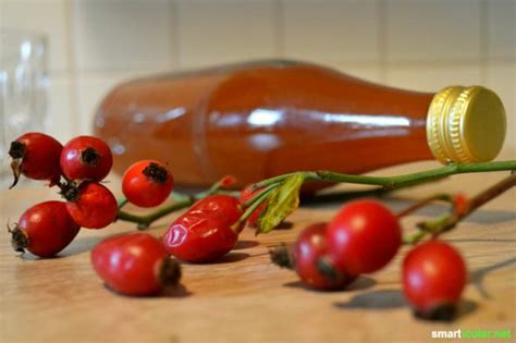 Hagebutte Leckere Rezepte Mit Dem Regionalen Superfood