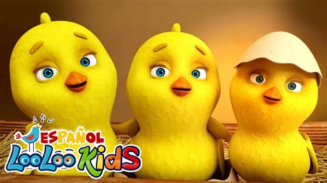 El Pollito Pío Canciones Infantiles para niños YouTube