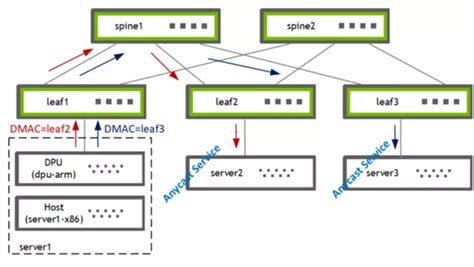 Nvidia Bluefield Dpu Dpdk