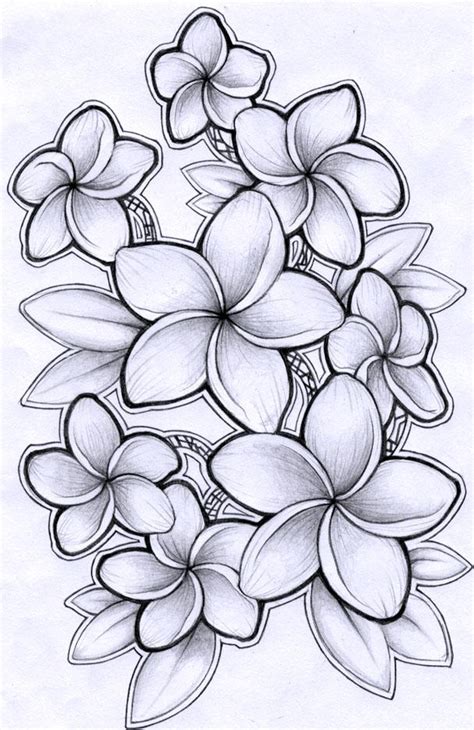 Coloring Pages In Flower Drawing Hawaiian Flower Drawing