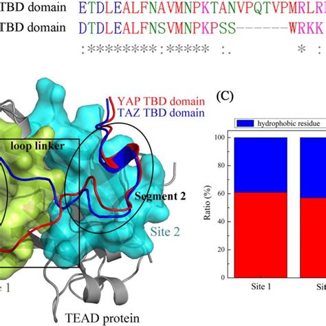 Computational Decomposition Of Teadyap Taz Total Binding Energy To