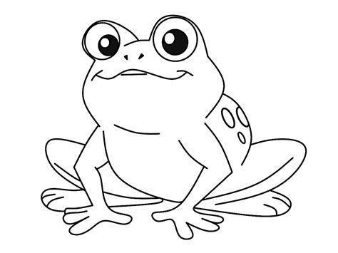 Coloriages Crapaud