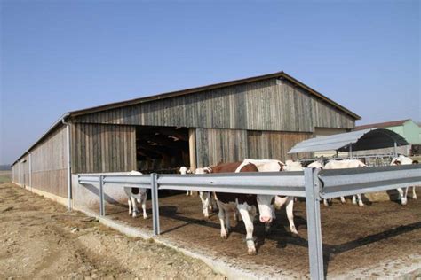 STABULATION VACHES LAITIERES PORTES OUVERTES DANS LES VOSGES 88