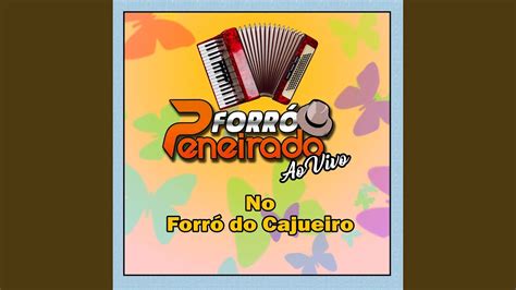 Zuar e beber FORRÓ PENEIRADO YouTube