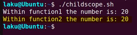 Variables In Bash Function Easy Reference Linuxsimply