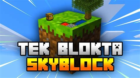 Minecraft Ama Tek Blokta Survival Minecraft Tek Blok Skyblock 1 YouTube