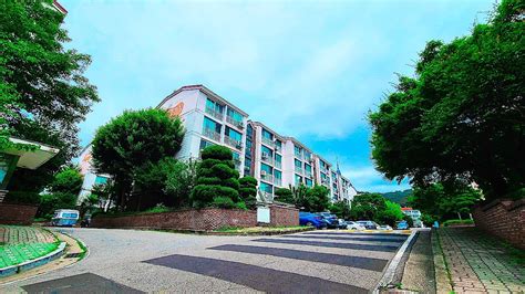 남산 대림아파트 리모델링 세대 남향 햇살 가득한집 WOW YouTube