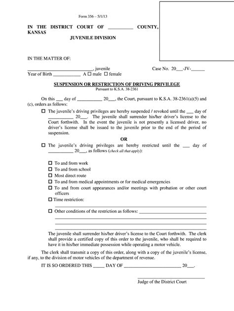 IN THE DISTRICT COURT OF COUNTY KANSAS Kansasjudicialcouncil Fill
