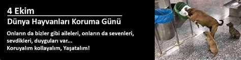Nivet Veteriner Kliniği 4 Ekim Dünya Hayvanları Koruma Gününün