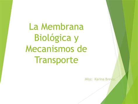 La Membrana Biológica y Mecanismos de Transporte ppt descargar