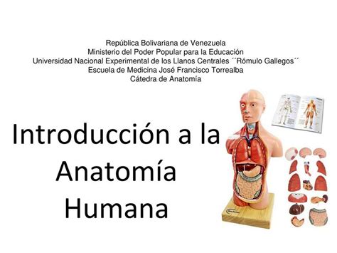 Introducción a Anatomía Carlos Arana uDocz