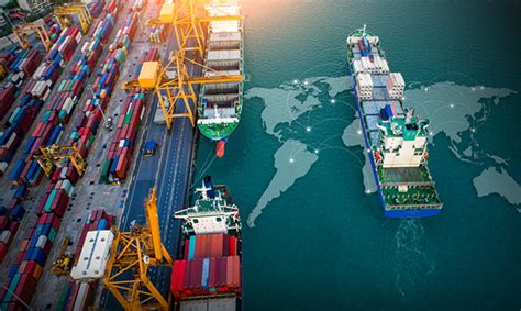 Net Zero Nature And Supply Chain Vulnerabilities Macrofinancial And