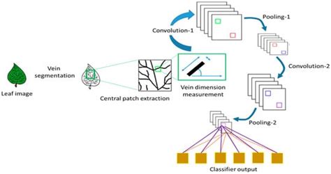computers free full text review on techniques for plant leaf classification and recognition