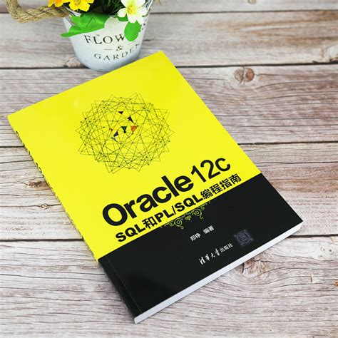 【清华大学出版社】oracle 12c sql和pl sql编程指南郑铮 oracle关系数据库系统指南 虎窝淘