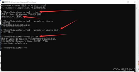 Win11 使用 WSL2 安装 linux 子系统 ubuntu删除 linux 子系统 ubuntu wsl2卸载ubuntu CSDN博客