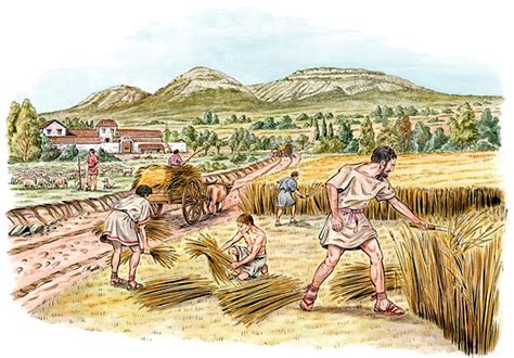 AGRICOLTURA Romanoimpero