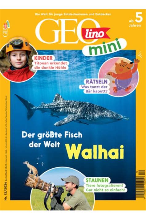 Koala Tier Steckbrief im Tierlexikon für Kinder GEOLINO
