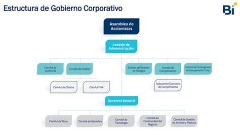 Organigrama Bi 2022 Público by Corporación BI Issuu