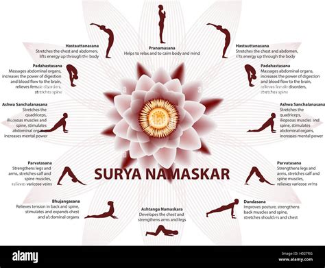 Yoga Infographics Surya Namaskar Sequence Stock Vector Image Art Alamy