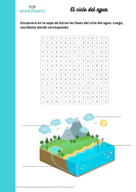 Sopa De Letras El Ciclo Del Agua Ficha Para Imprimir TopWorksheets