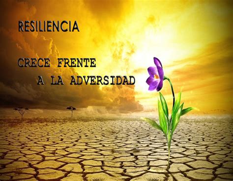 Frases De Resiliencia Para Superar Los Malos Momentos