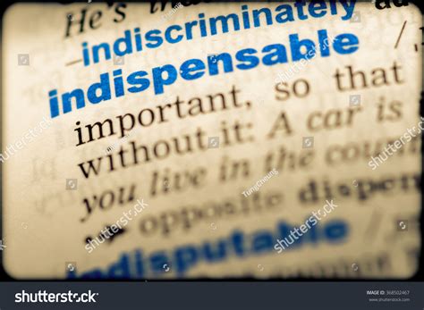 Closeup Word English Dictionary Indispensable Definition Stock Photo