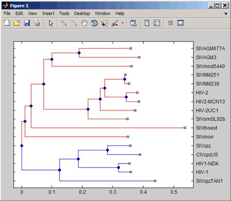 validate clusters in phylogenetic tree matlab cluster phytree