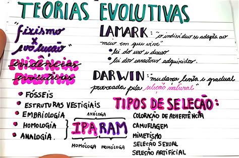 MAPA MENTAL SOBRE EVOLUÇÃO Maps4Study