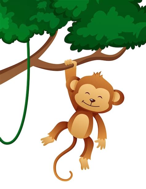 Vetor Isolado Bonito Dos Desenhos Animados Do Macaco Vetor Premium