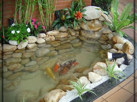 Por qué todo el mundo quiere estanques para peces en su jardín